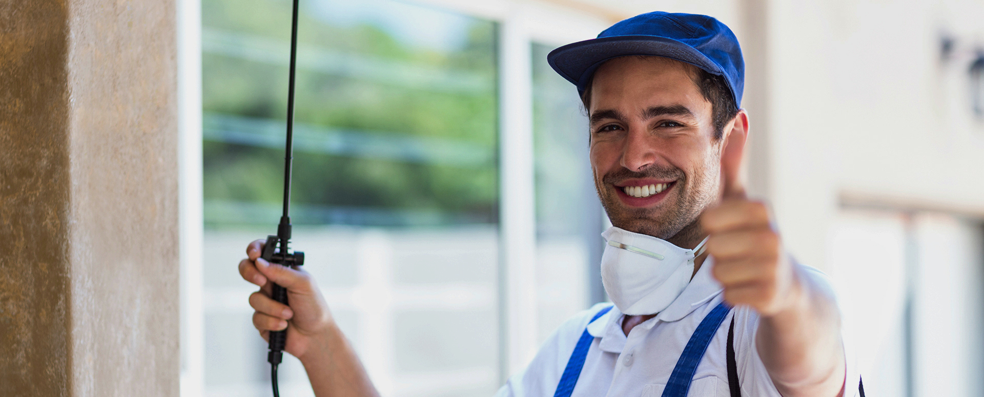 Termite Inspections in the Berkeley Oakland East Bay area | GT INSPECTS ...